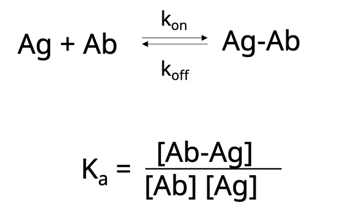 Antibody Essentials 第 1 部分:抗体基础知识 | CST 博客 Antibody Essentials 第 1 部分:抗体基础知识 | CST 博客